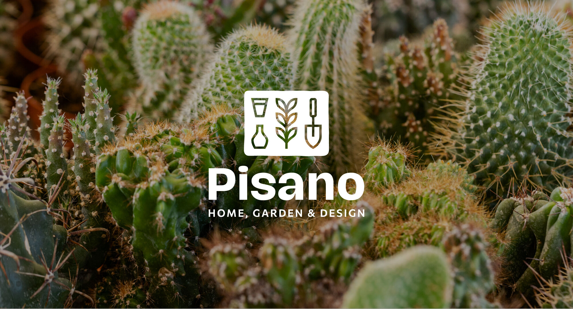 Logo design per Pisano Garden Center